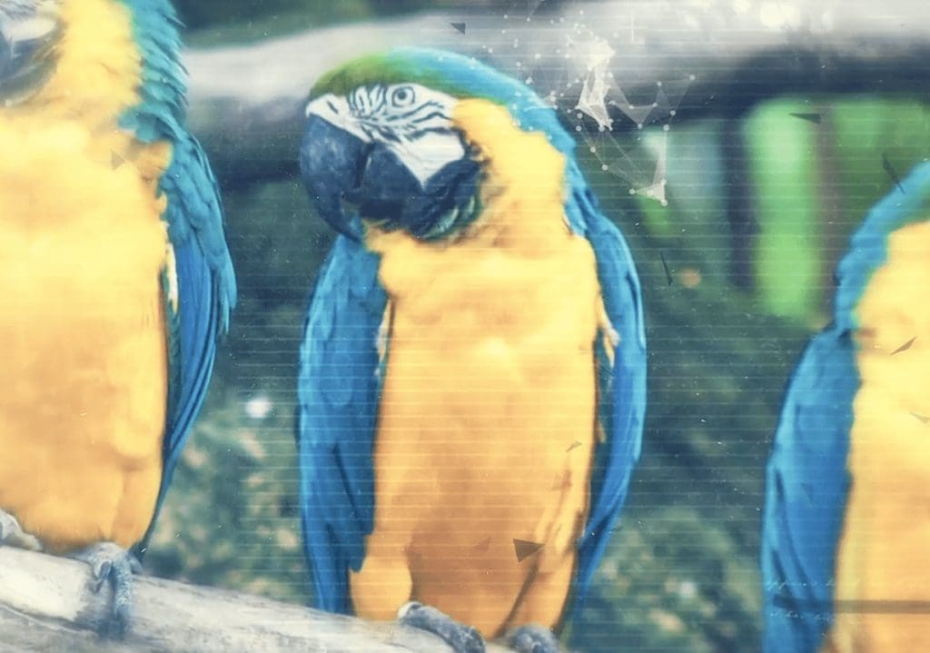 The Serpent Speaks – Bible Discovery TV