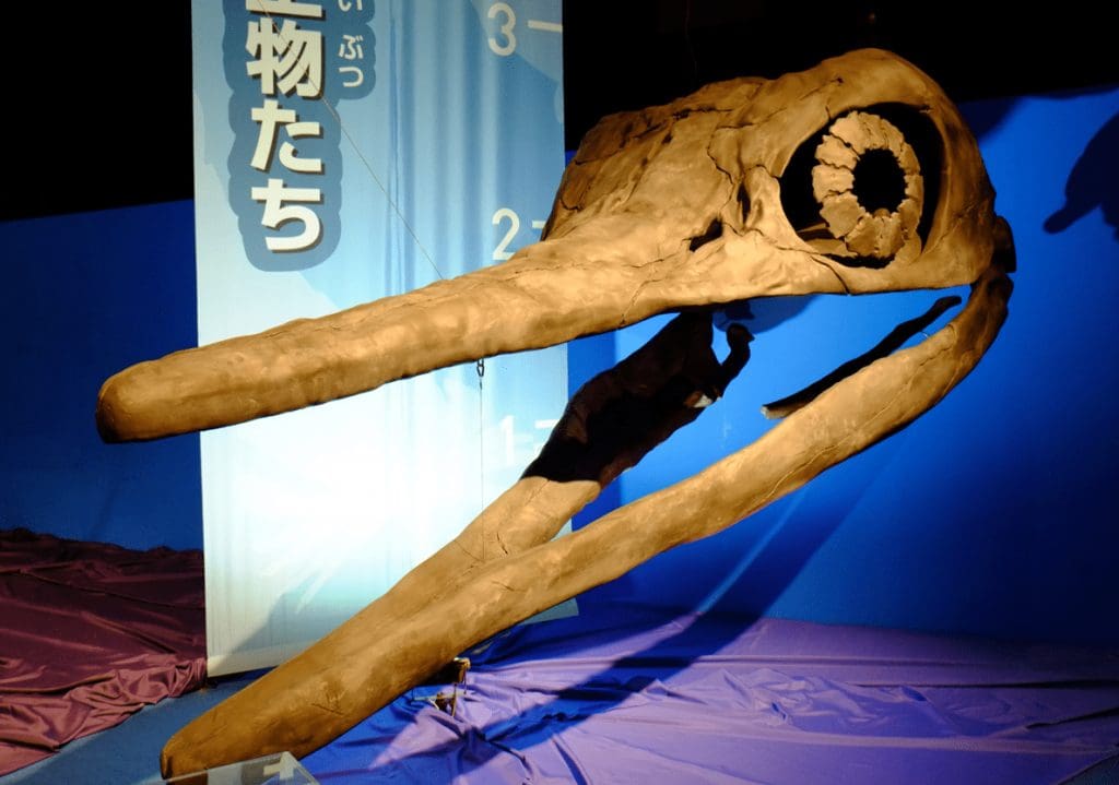 Drawing Out Leviathan – Bible Discovery TV