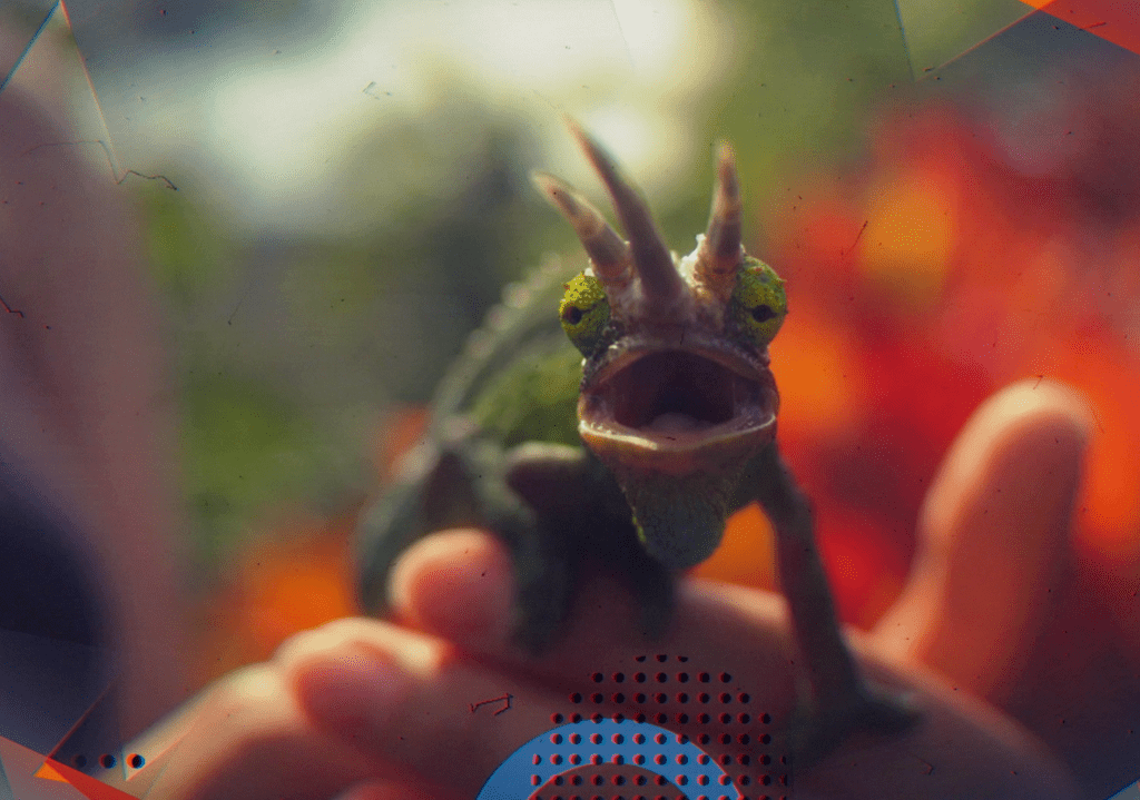 Nephesh Chayyah – Bible Discovery TV