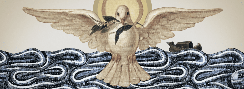 On Doves – Bible Discovery TV