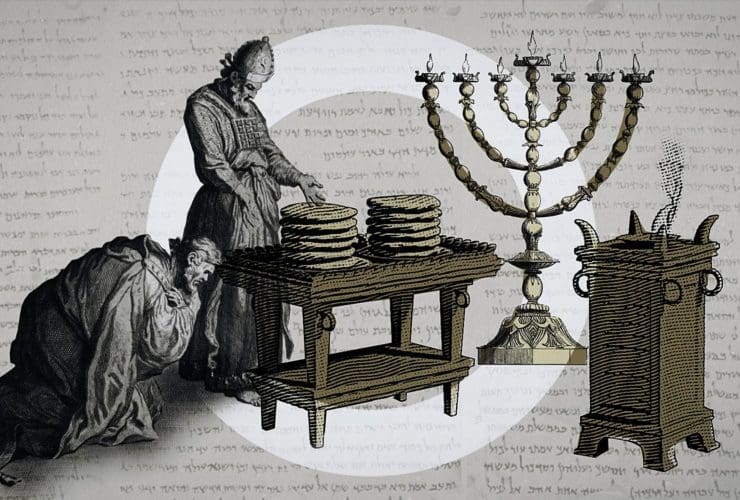 David & Friends – Bible Discovery TV