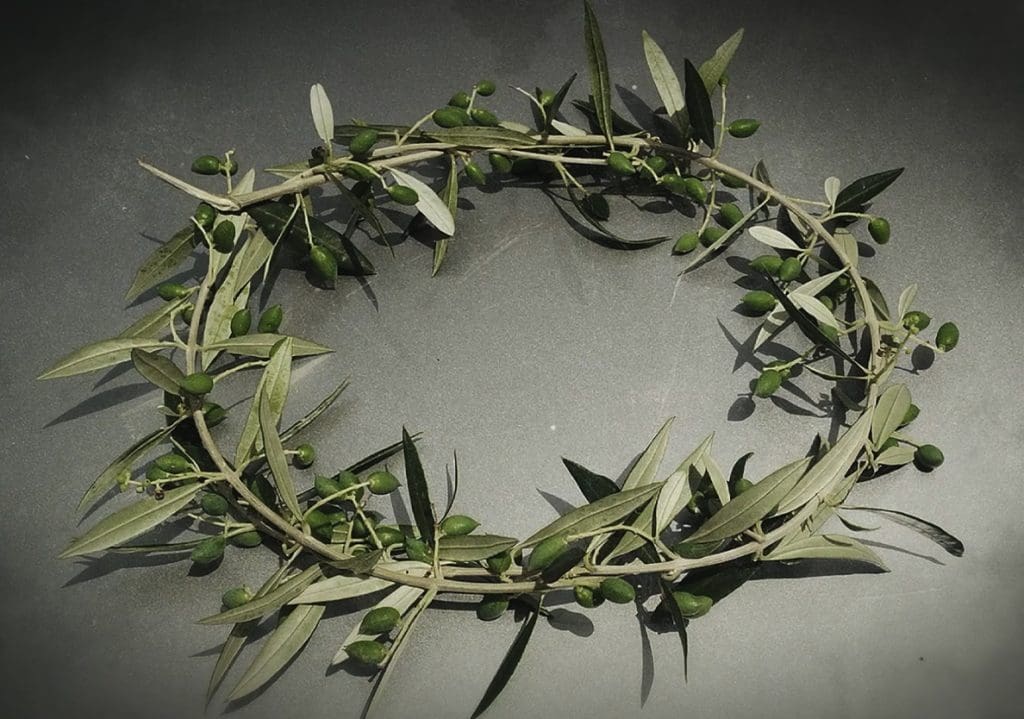 Incorruptible Crowns – Bible Discovery TV