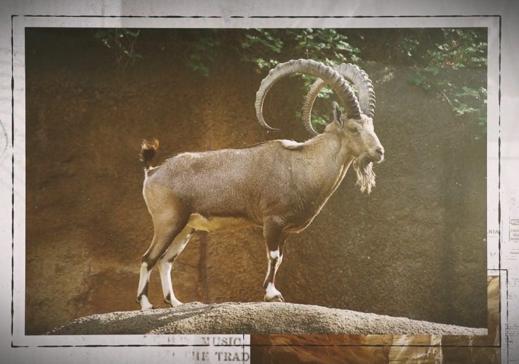 Life Along the Arnon – Bible Discovery TV