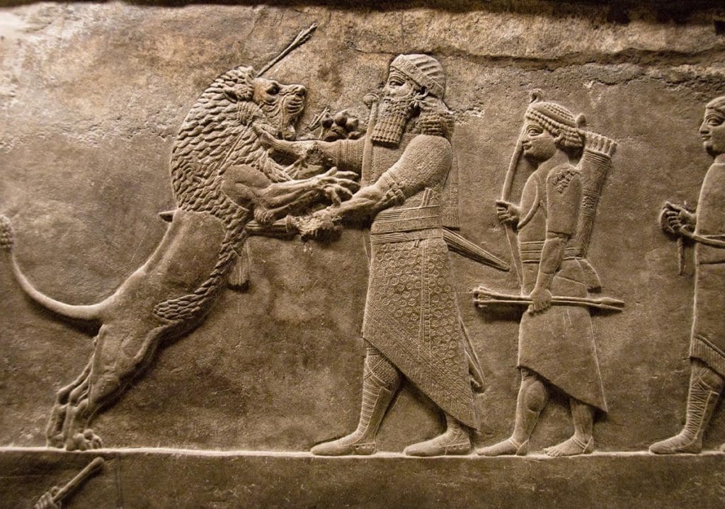 Lions & Kings – Bible Discovery TV