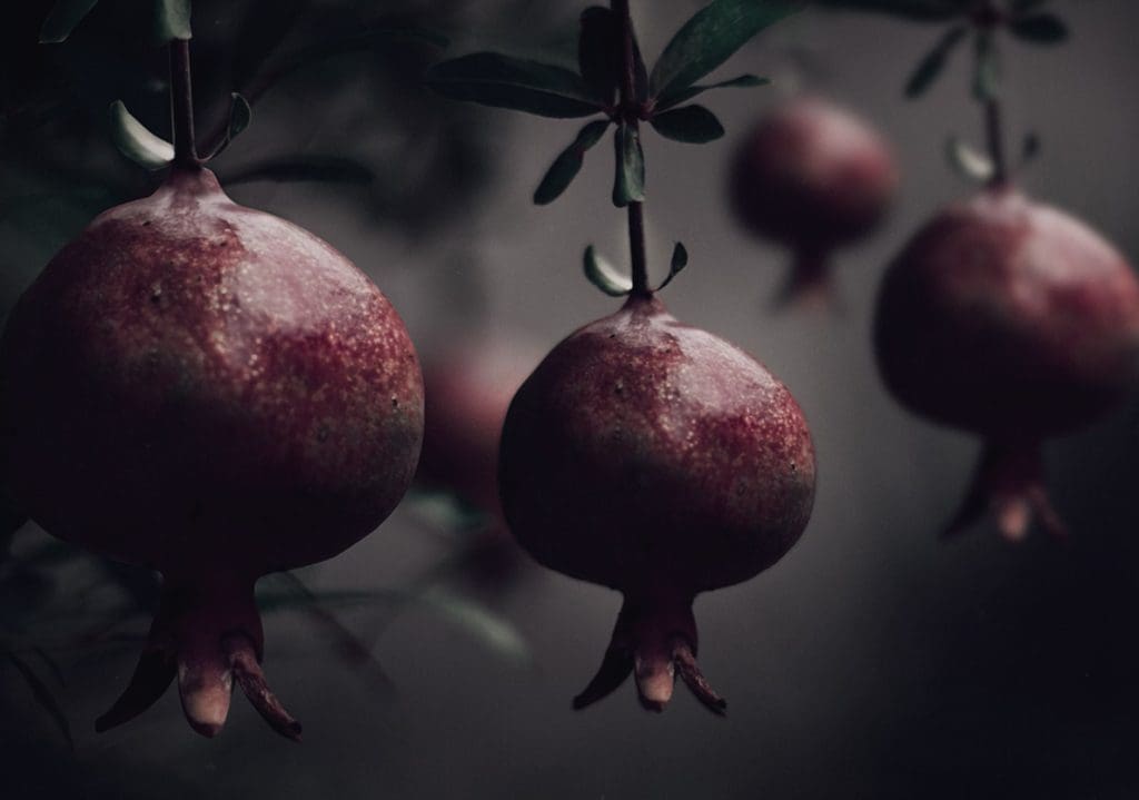 Pomegranates – Bible Discovery TV