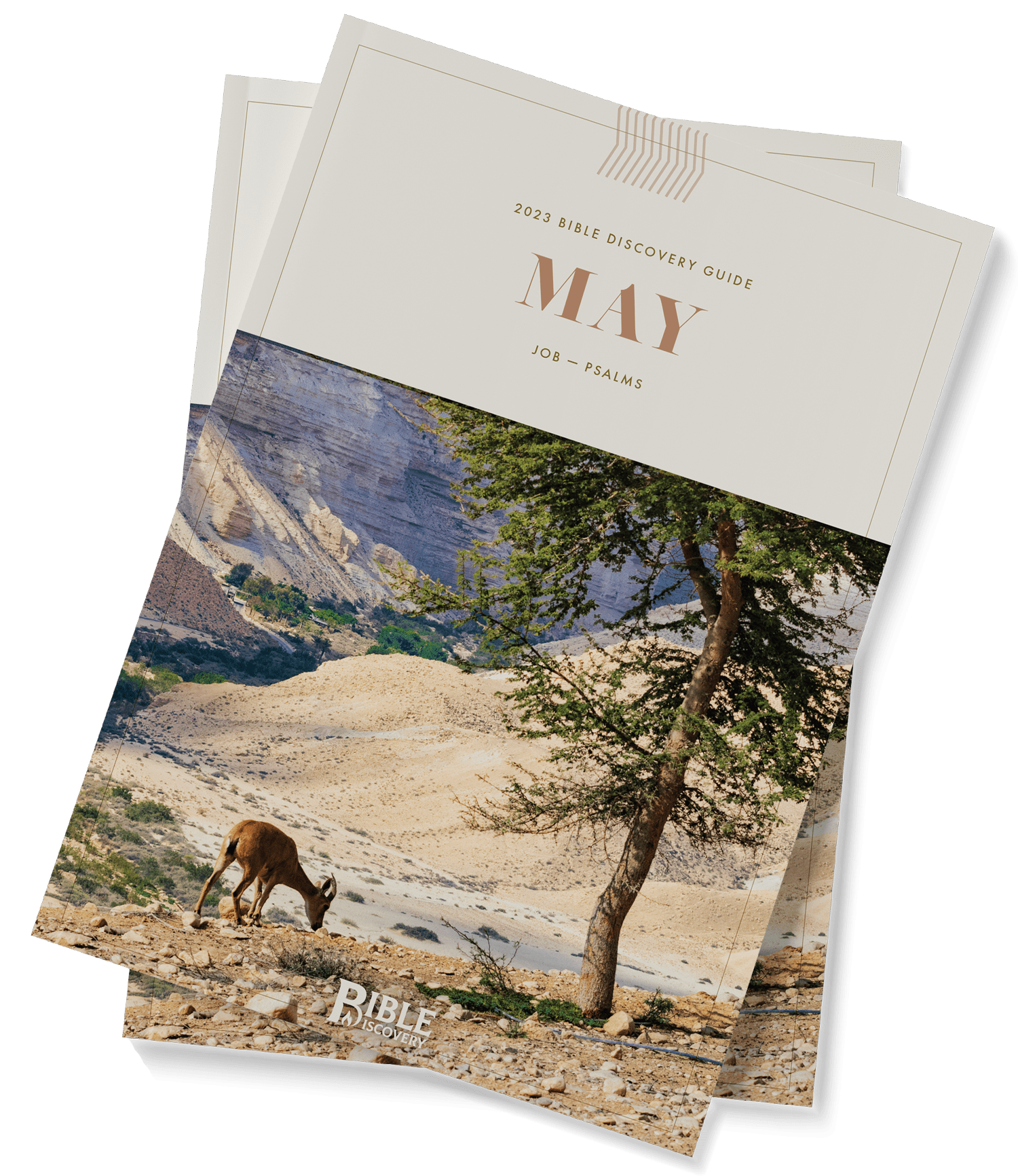 The Bible Discovery Guide – Bible Discovery TV