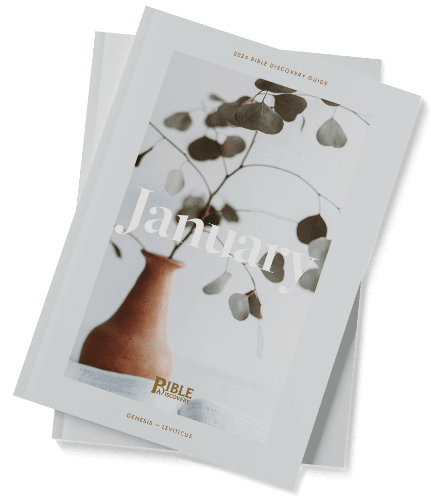 Bible Discovery TV – Enhance your Bible experience