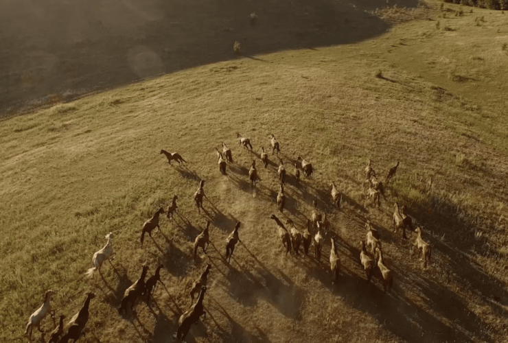 Isaiah the Prophet – Bible Discovery TV